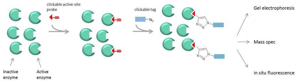 Click Chemistry – Med Chem 101